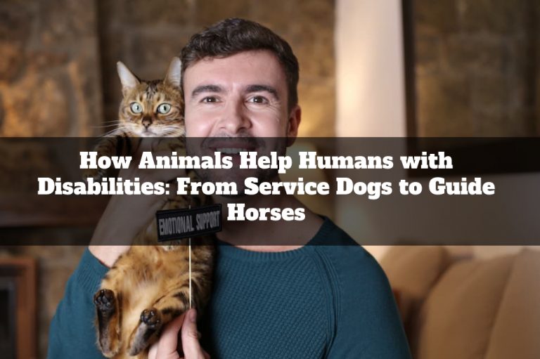 Animals helping humans with disabilities - Rolstoel
