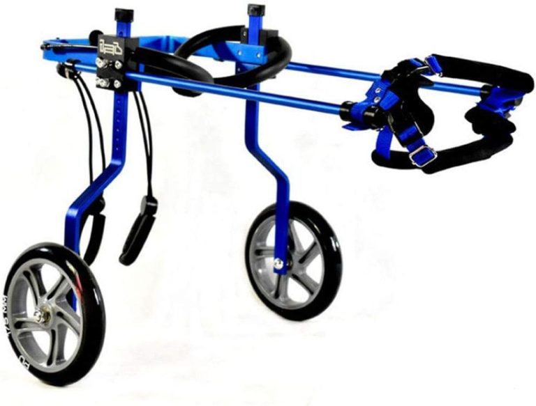 The Ultimate Guide to Dog Wheelchairs for Back Legs