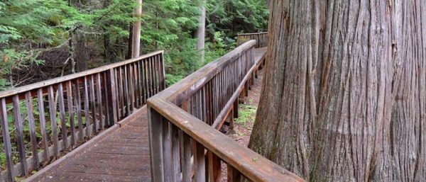 Wheelchair Accessible Hiking Trails in the USA