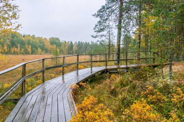 Wheelchair Accessible Hiking Trails in the USA